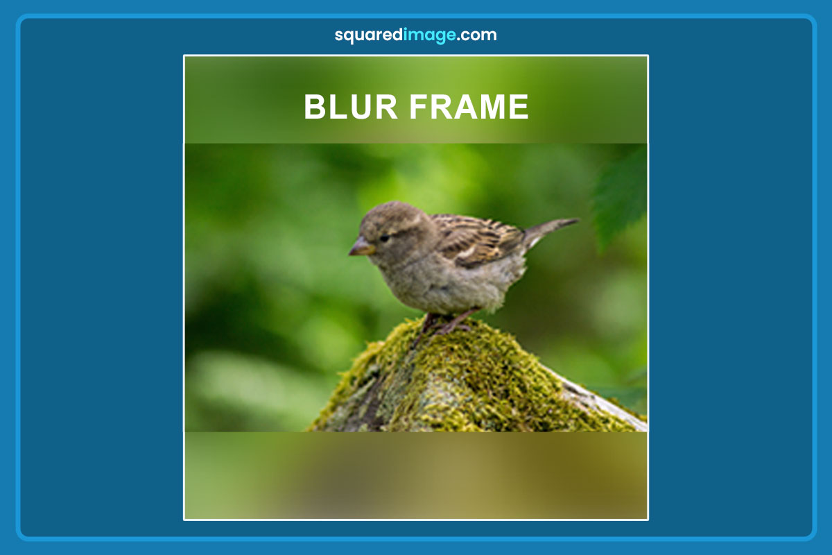 Blur Frame - Blurred Photo Frame Online